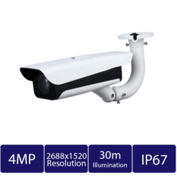 IP Cameras